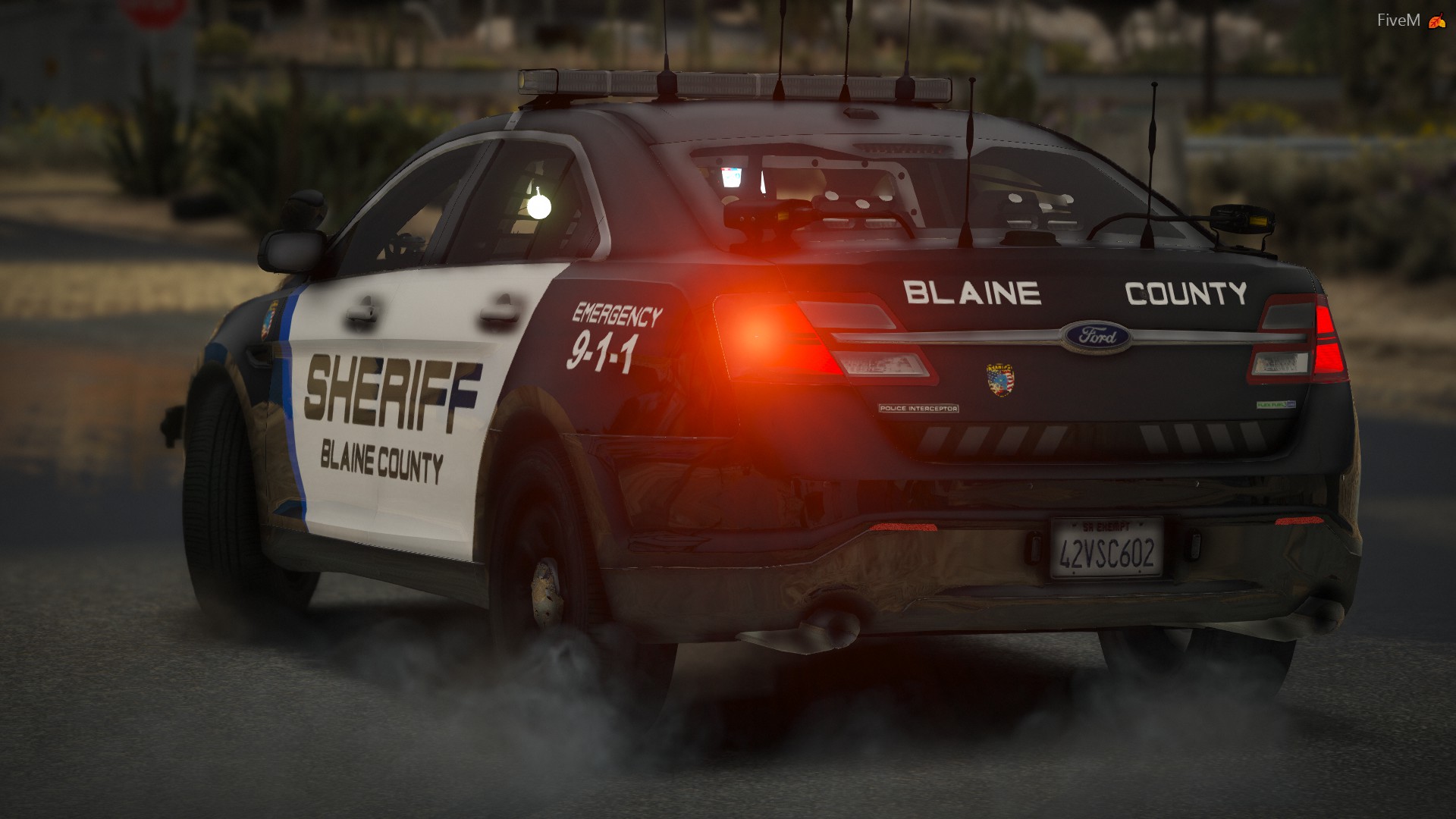 Statewide Roleplay | Whitelisted | Custom Assets | 15+ | Realism ...