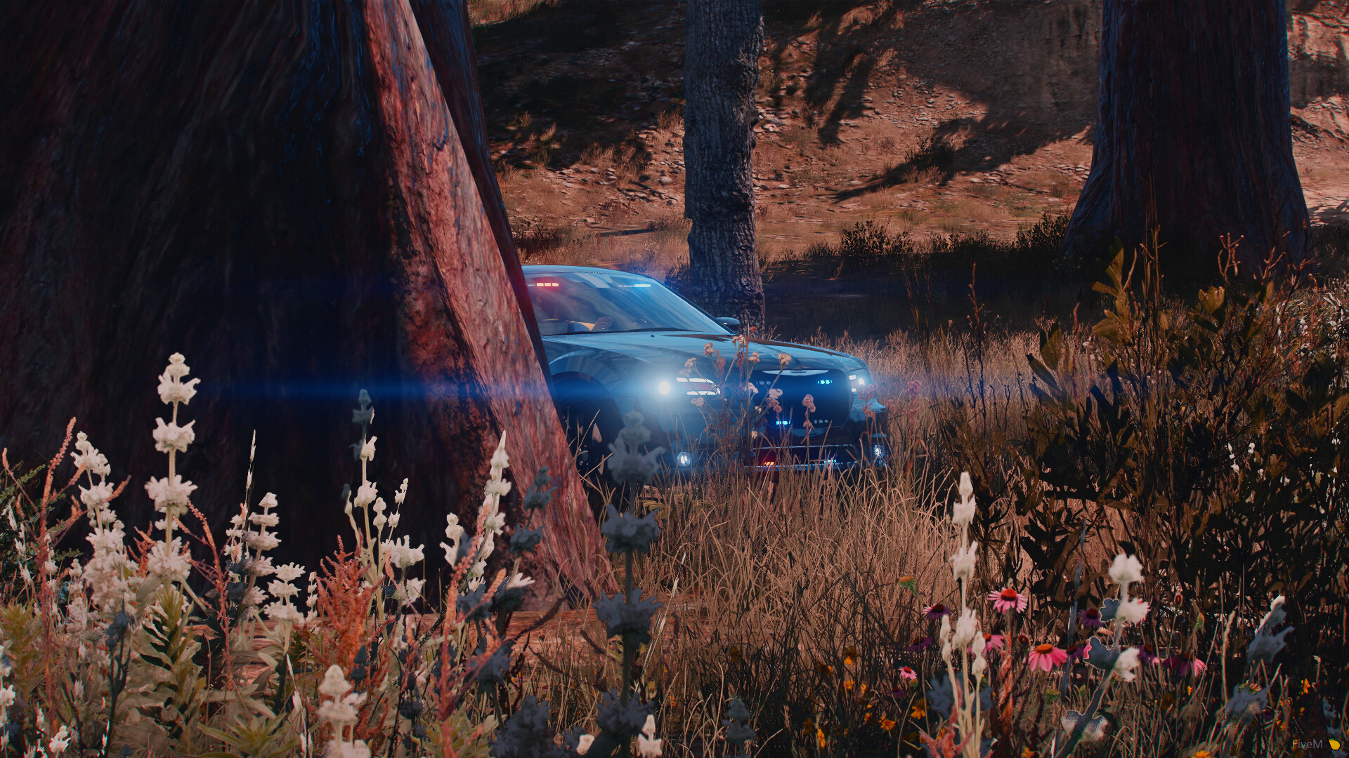 BackwoodsRP | FiveM Community - Server Bazaar - Cfx.re Community