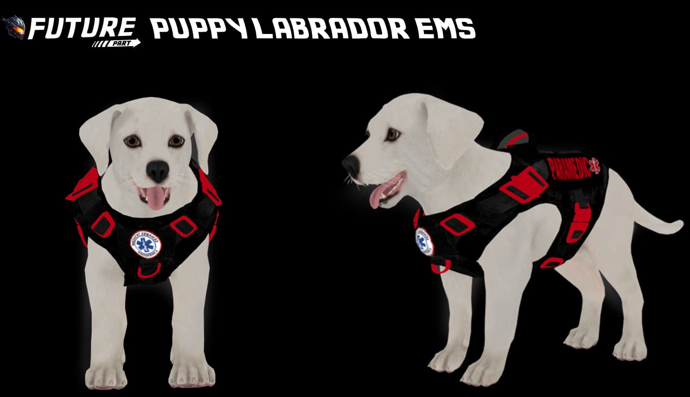 [PAID] Future Puppy Labrador EMS [PED] [DOG] [PETS] - FiveM Search