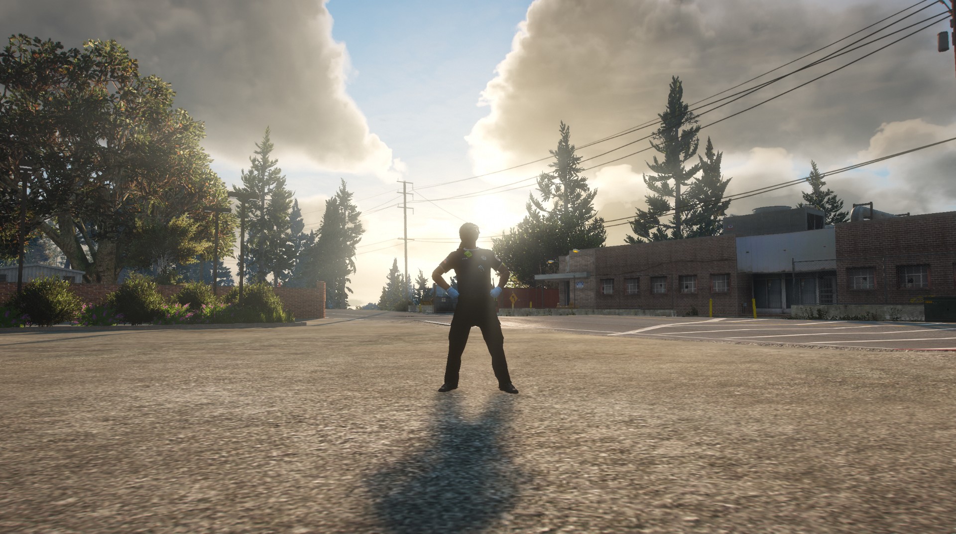 SAFR- Superhero - FiveM Snapmatic - Cfx.re Community