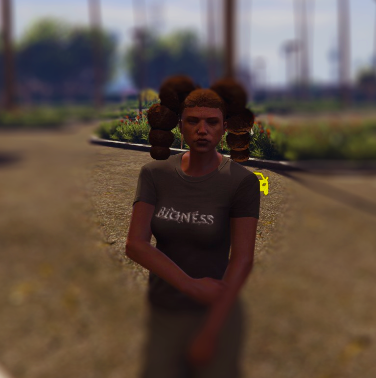 [FREE] Puff Bubble Pigtails for MP Female - FiveM Releases - Cfx.re ...