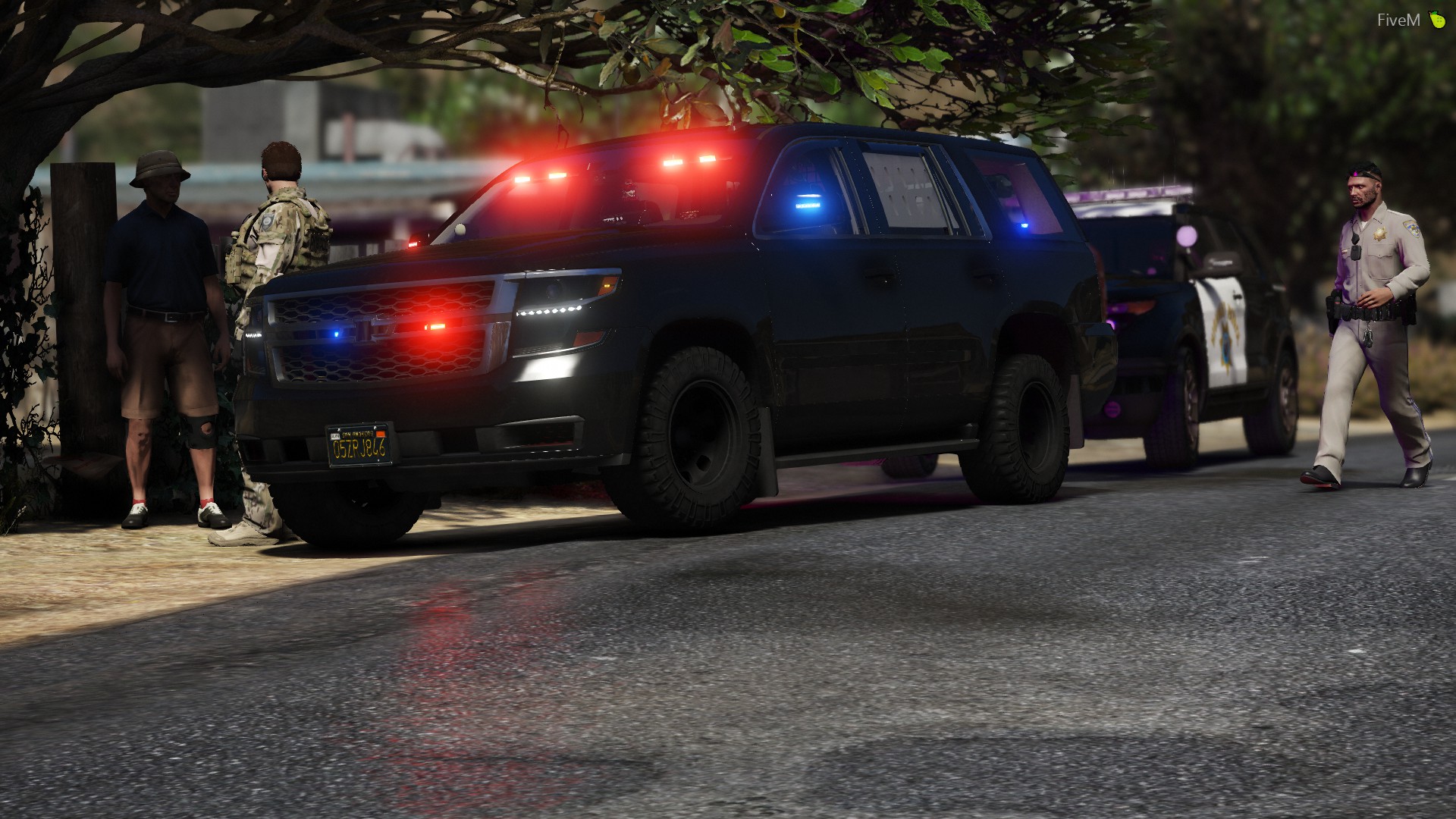 Statewide Roleplay | Whitelisted | Custom Assets | 15+ | Realism ...