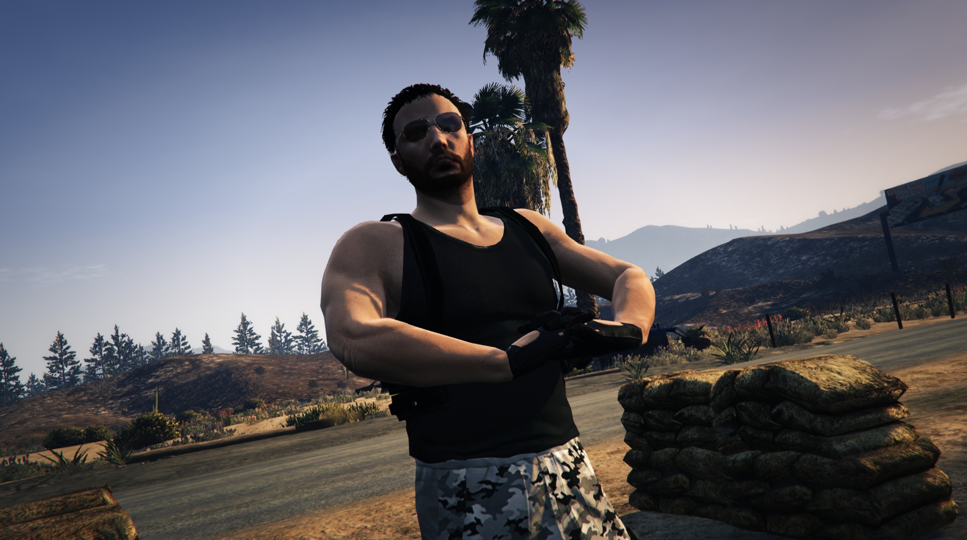 Wads - FiveM Snapmatic - Cfx.re Community