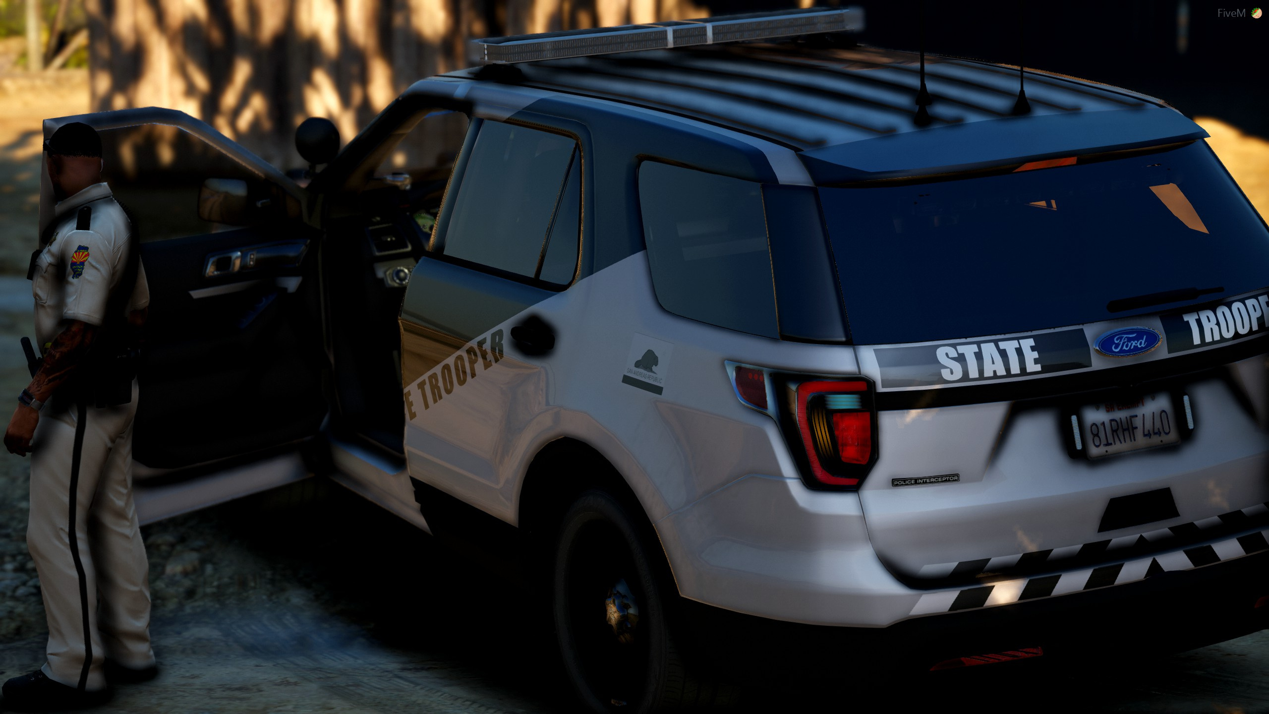 Statewide Roleplay | Whitelisted | Custom Assets | 15+ | Realism ...