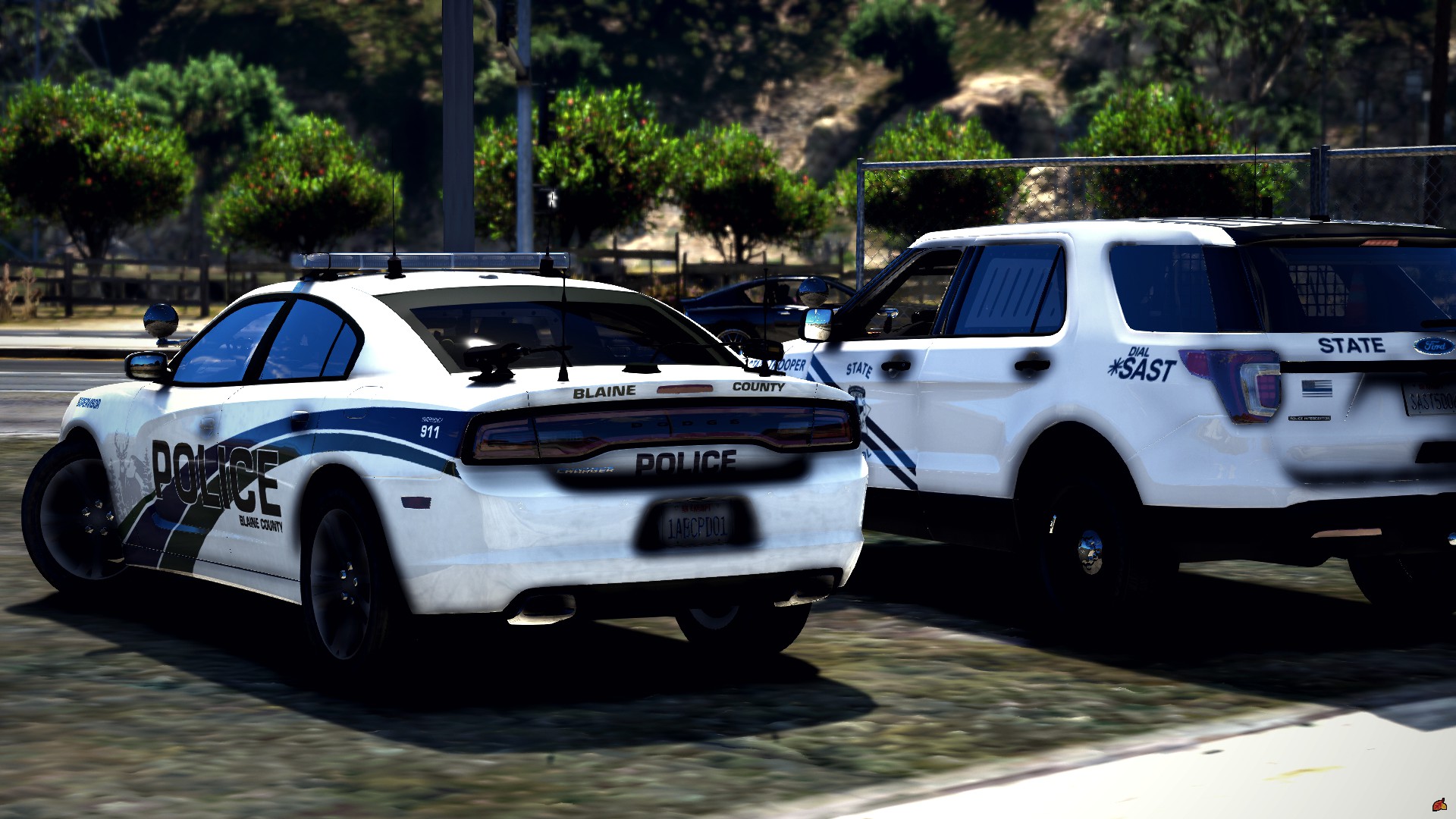 Statewide Roleplay | Whitelisted | Custom Assets | 15+ | Realism ...