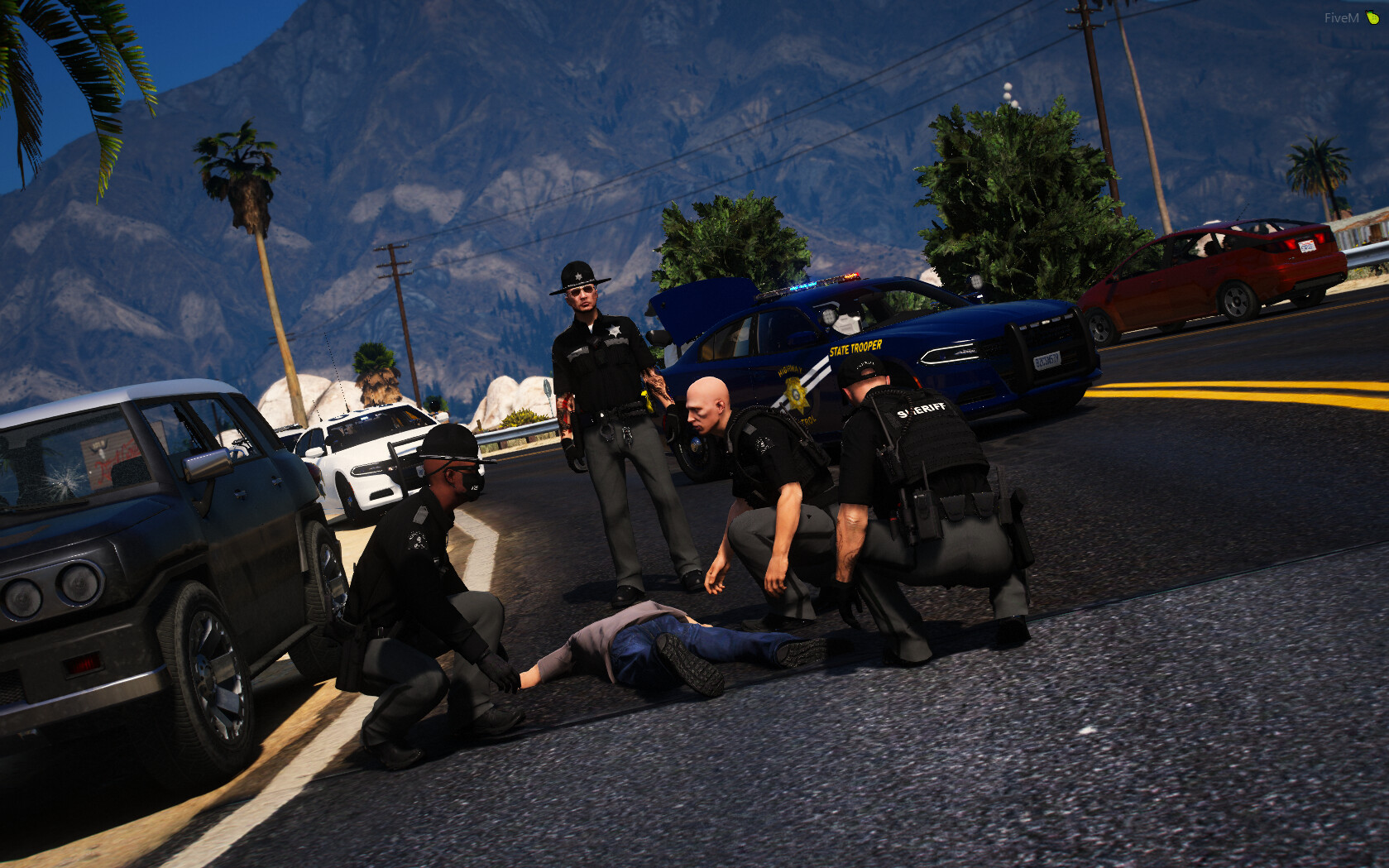 Statewide Roleplay | Whitelisted | Custom Assets | 15+ | Realism ...