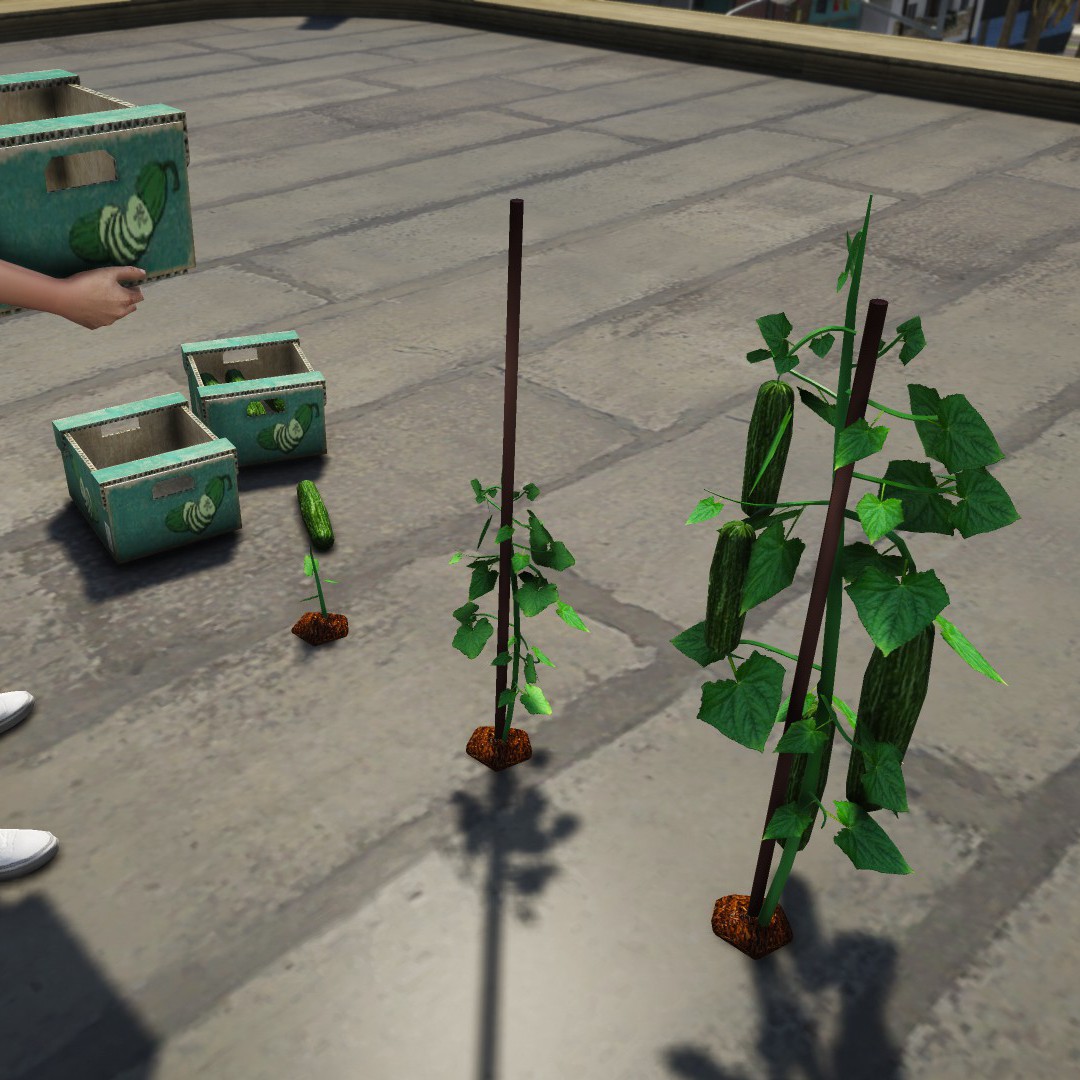 [PROPS] Plants - cucumber - FiveM Releases - Cfx.re Community