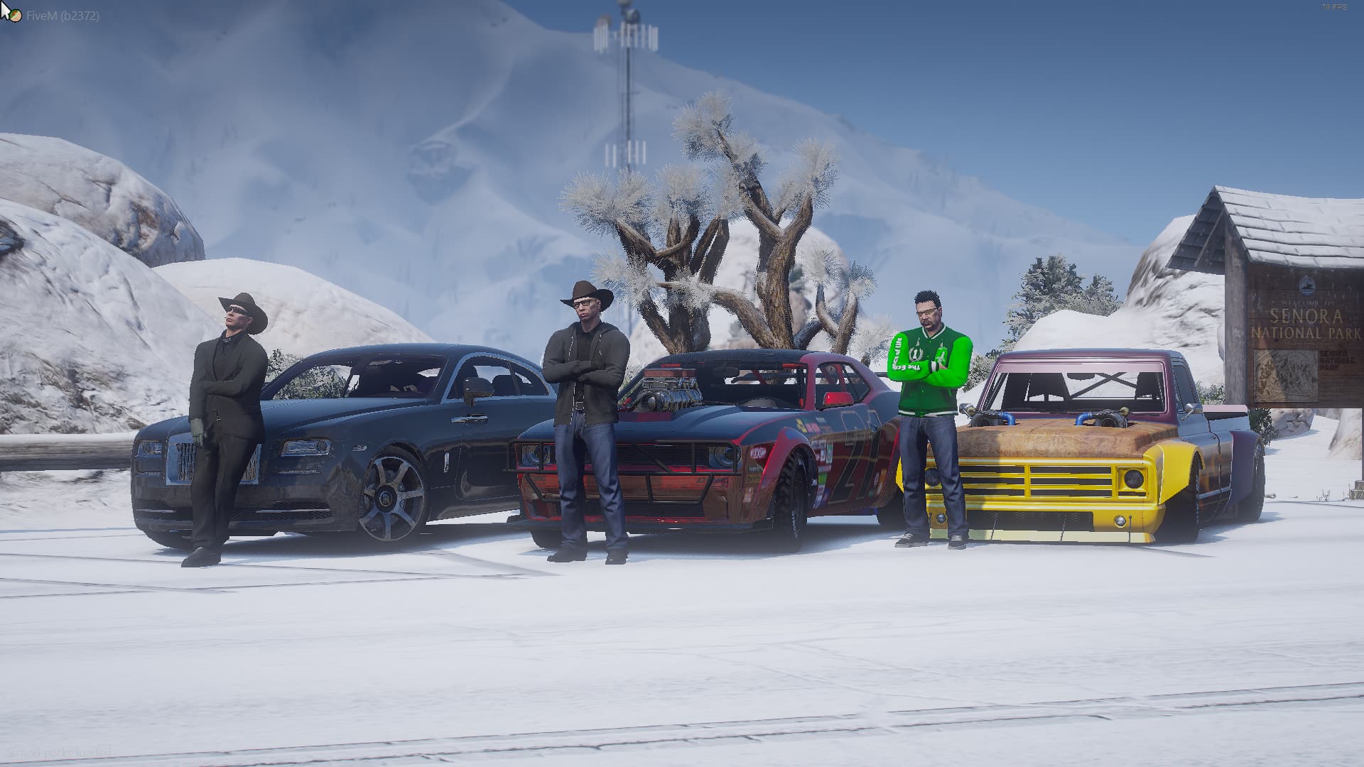 Misty Mountain Roleplay | MMRP | Serious Roleplay - Server Bazaar - Cfx ...