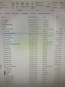 Assertion Failure! Please help! - RedM Client Support - Cfx.re Community