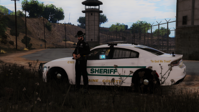 Devoted RP Whitelisted Community | Vmenu Based| Custom EUP and much ...