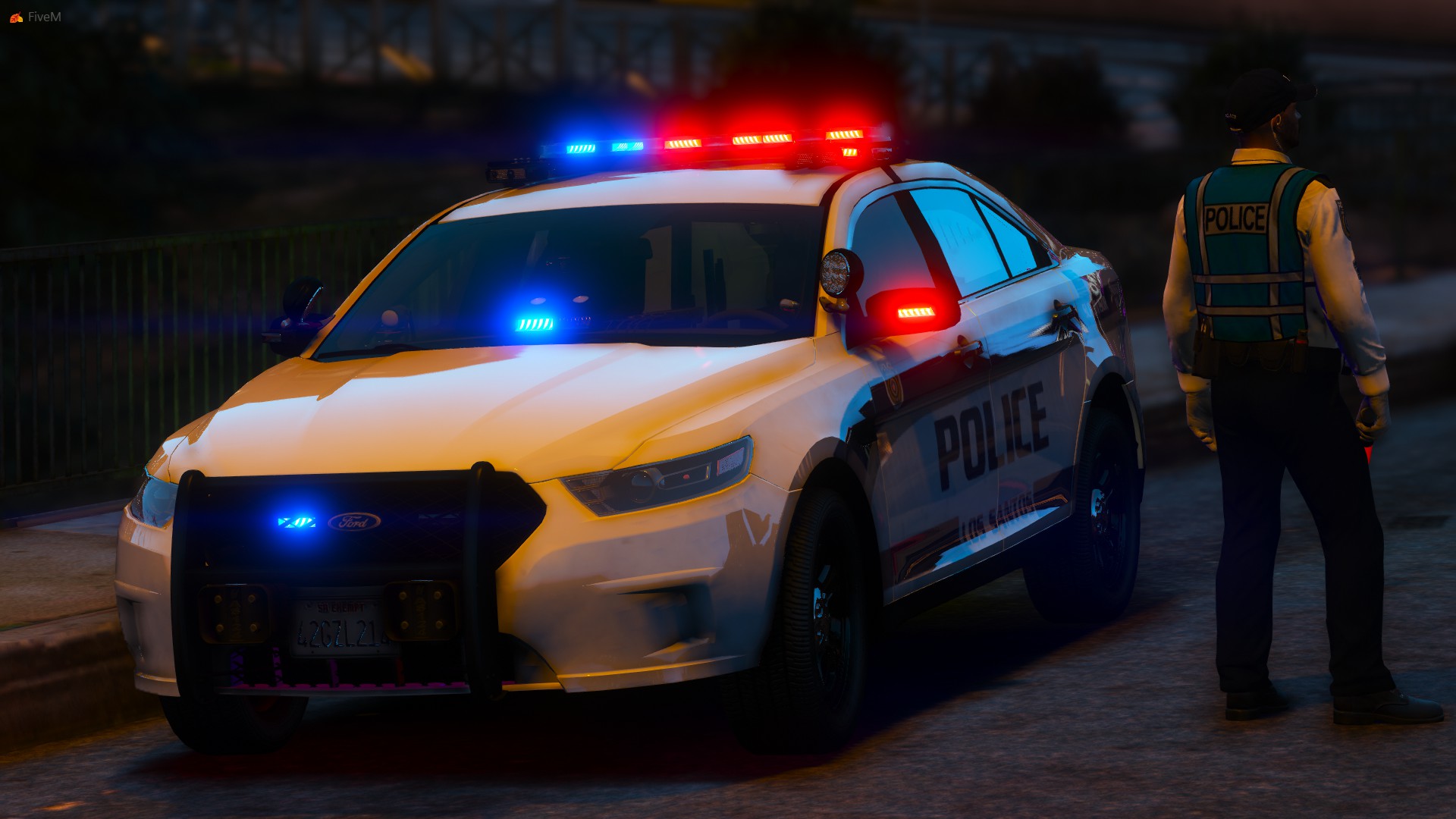 Statewide Roleplay | Whitelisted | Custom Assets | 15+ | Realism ...