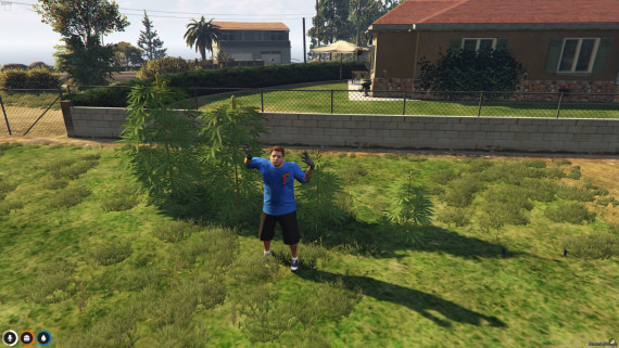 [PAID] [QBCore] Liberty Dank (Weed Grow and Processing) - FiveM ...