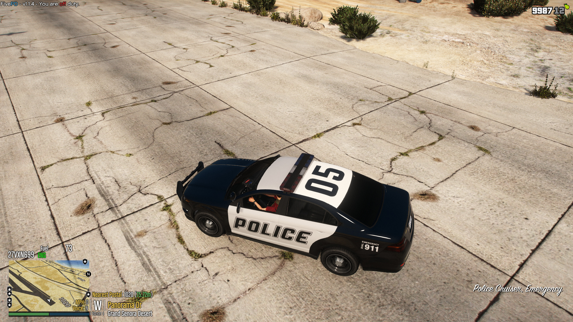 Natural Vision Evolved "White Color" Issue - FiveM Client Support - Cfx ...