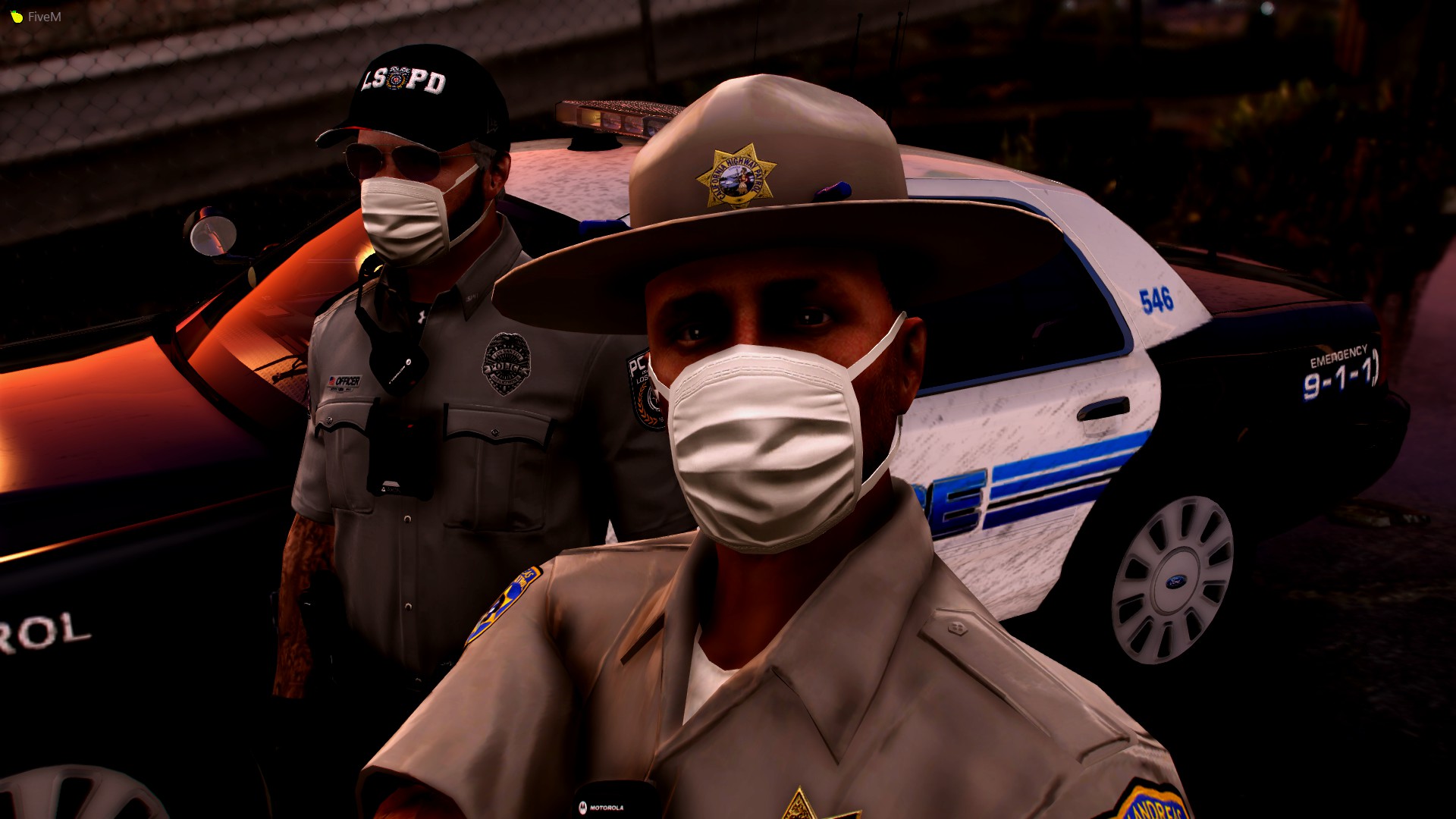 Statewide Roleplay | Whitelisted | Custom Assets | 15+ | Realism ...
