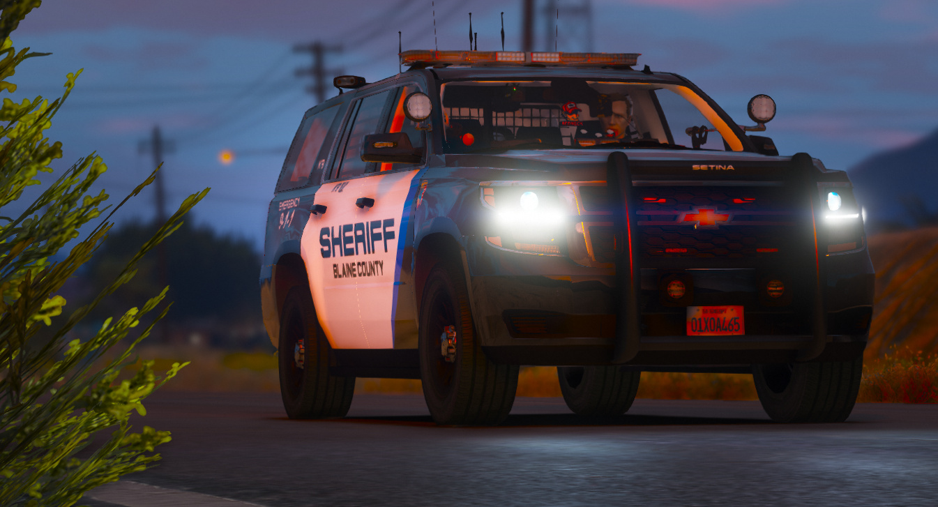 Statewide Roleplay | Whitelisted | Custom Assets | 15+ | Realism ...