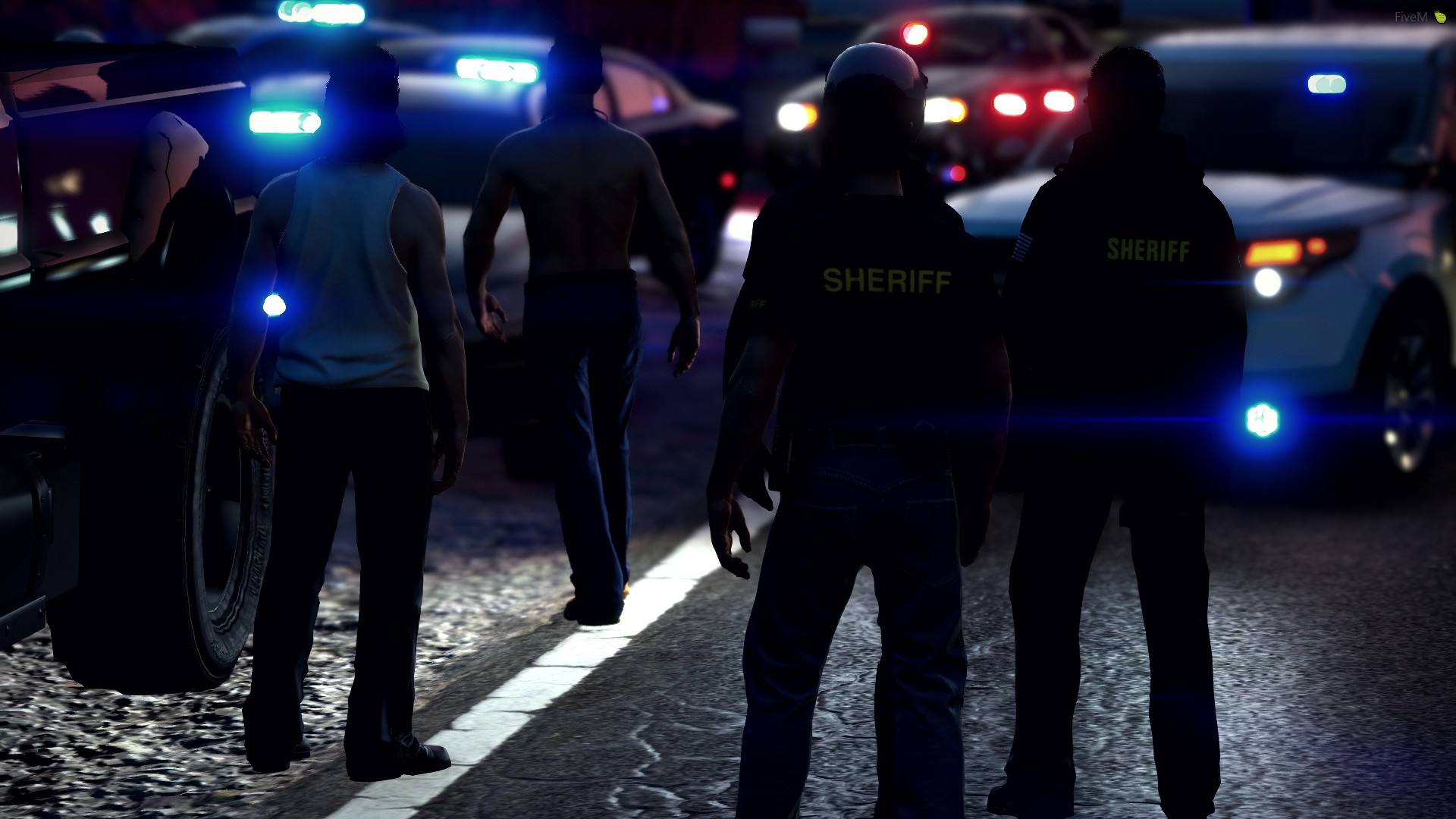 Statewide Roleplay | Whitelisted | Custom Assets | 15+ | Realism ...
