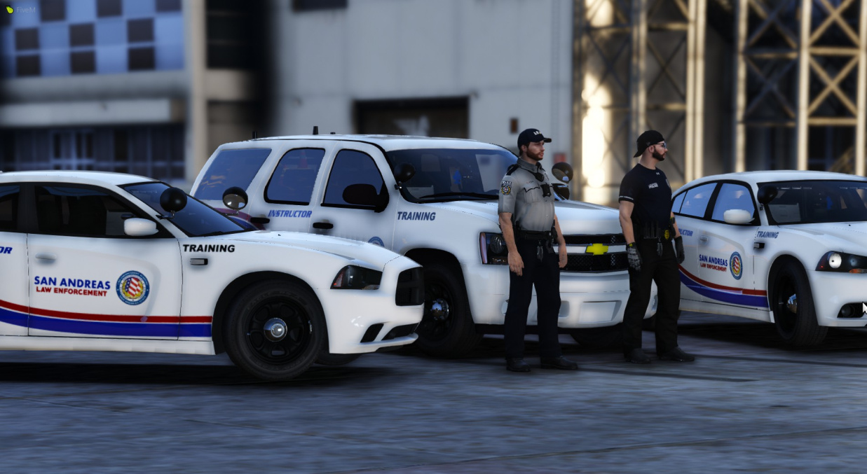 Statewide Roleplay | Whitelisted | Custom Assets | 15+ | Realism ...