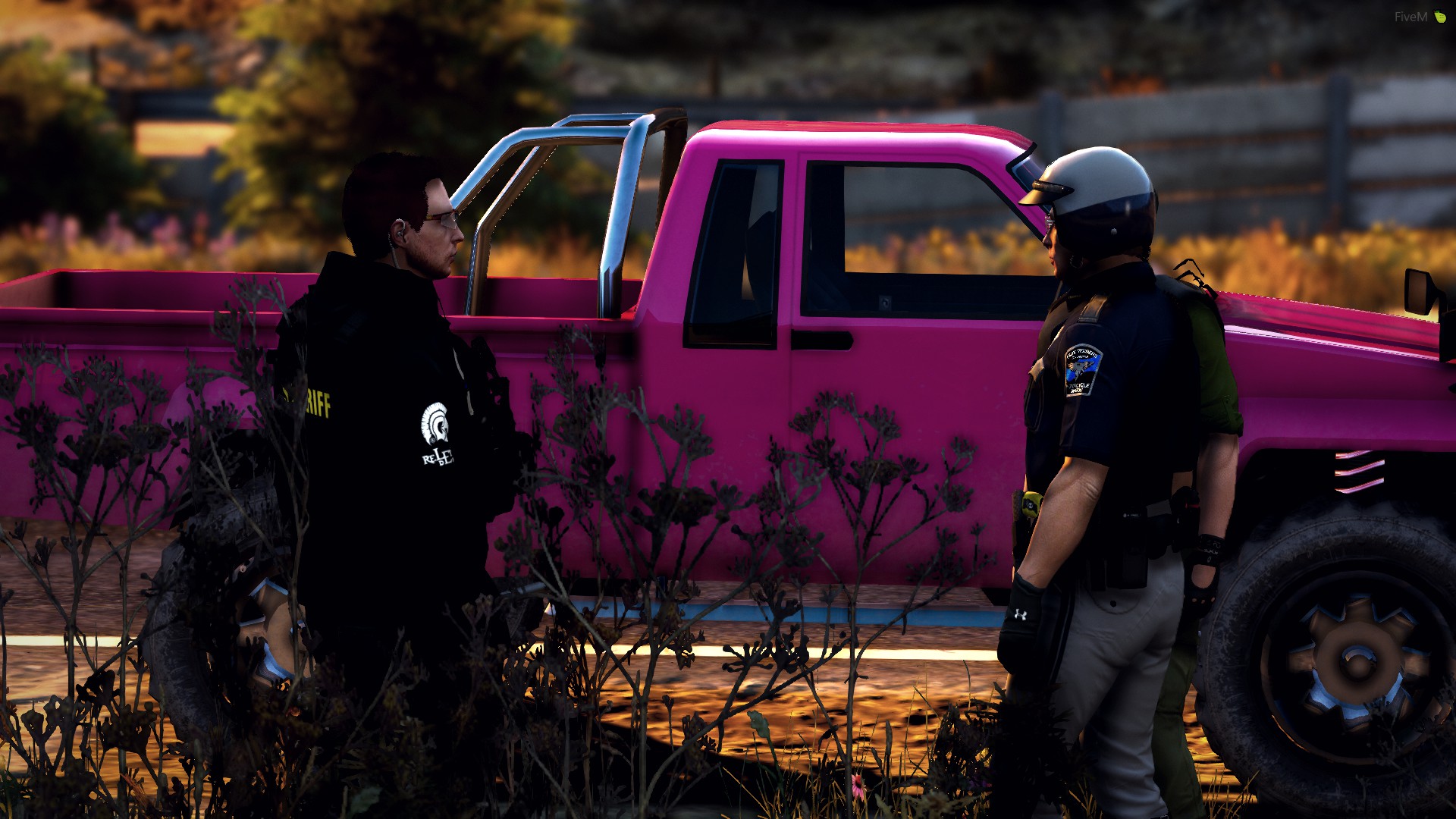 Statewide Roleplay | Whitelisted | Custom Assets | 15+ | Realism ...