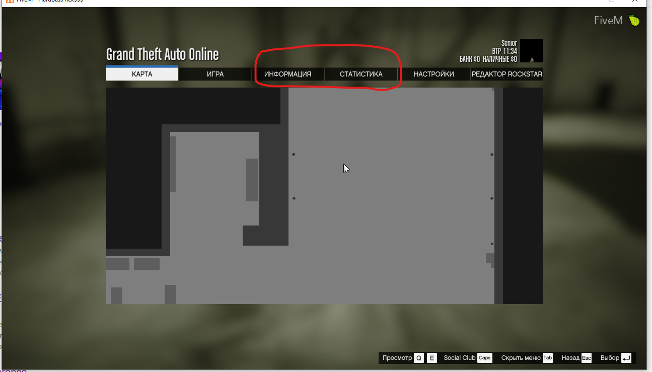 [HELP] Pause menu items - Discussion - Cfx.re Community
