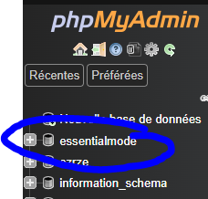 phpMyAdmin essentialmode - ES/ESX - Cfx.re Community