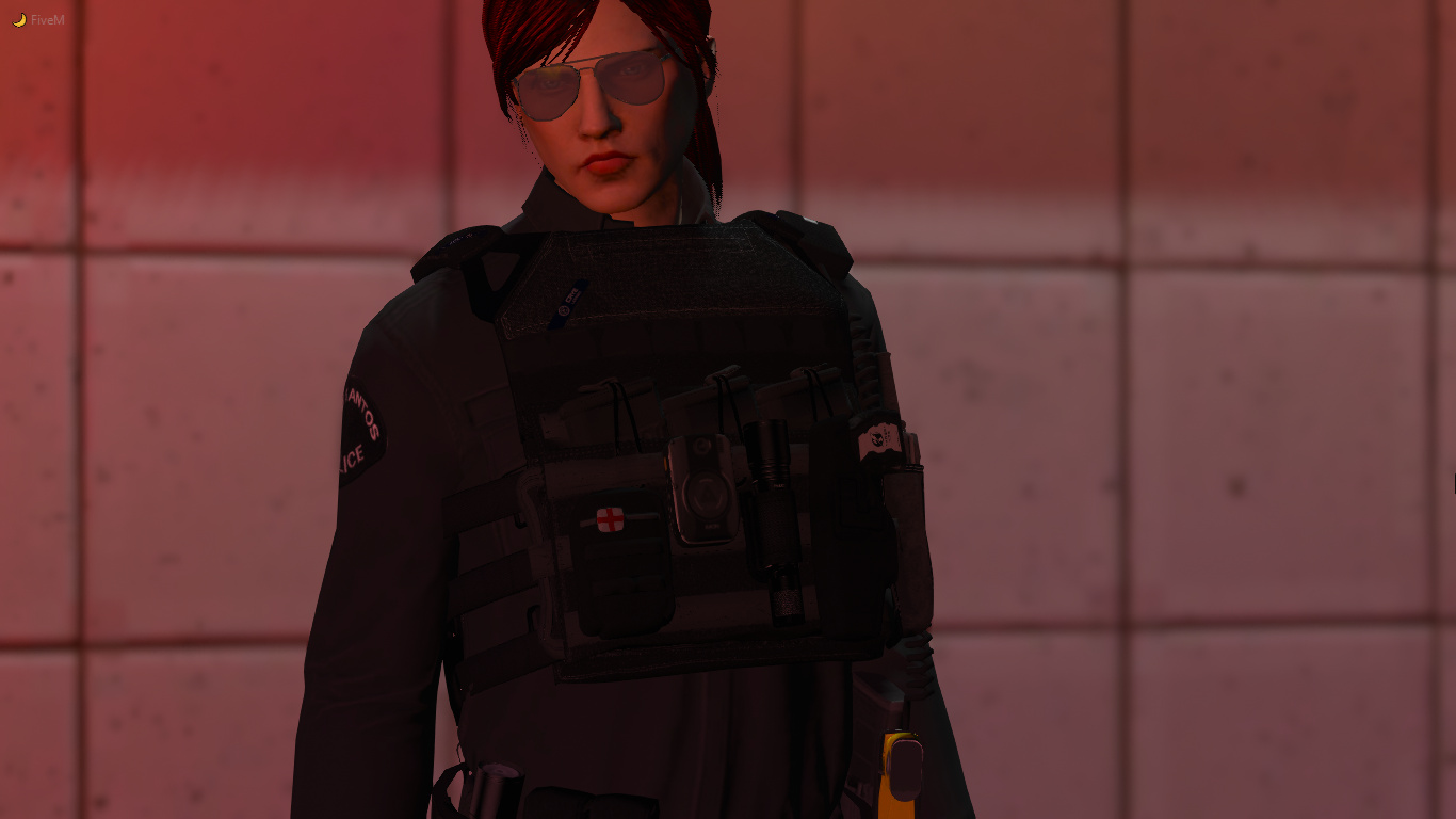 [EUP] Vest - Page 2 - FiveM Releases - Cfx.re Community