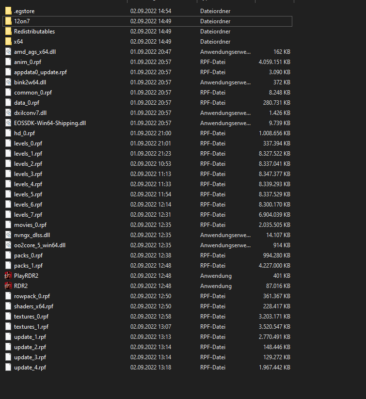 Infinite Loading Screen and the normal Games starts with the RedM ...