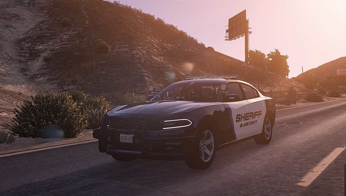Statewide Roleplay | Whitelisted | Custom Assets | 15+ | Realism ...
