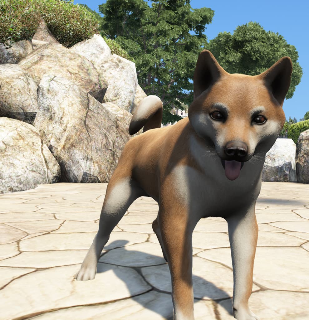 [PAID] FUTURE Akita Inu [PED] [DOG] [PETS] - FiveM Releases - Cfx.re ...