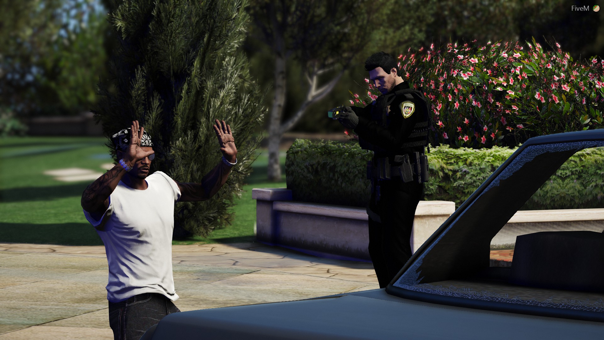 Statewide Roleplay | Whitelisted | Custom Assets | 15+ | Realism ...