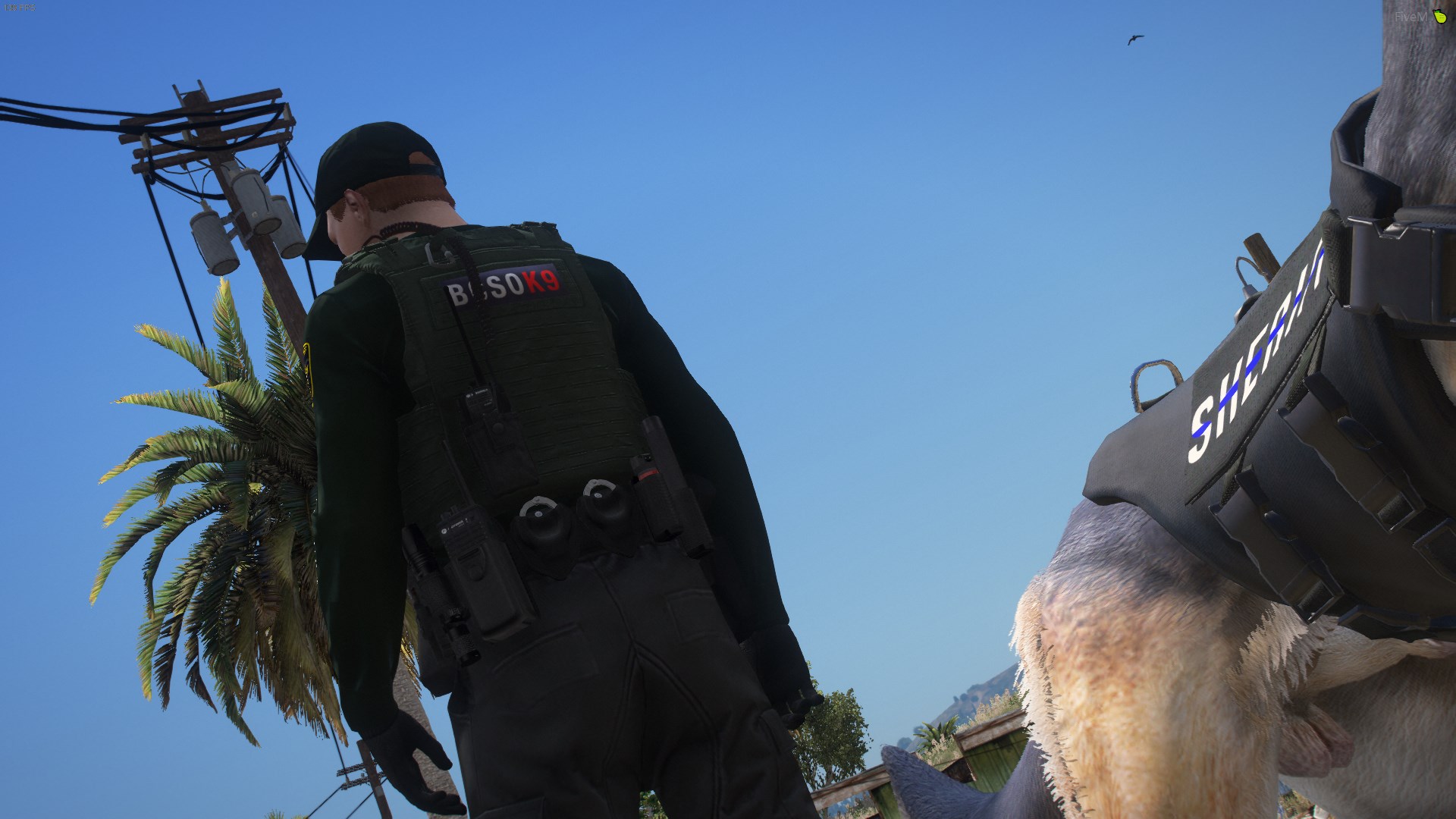 BCSO K9 EUP Pack - FiveM Releases - Cfx.re Community