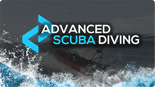 Advanced Scuba Diving [ESX/QBCore] - Page 2 - FiveM Releases - Cfx.re ...