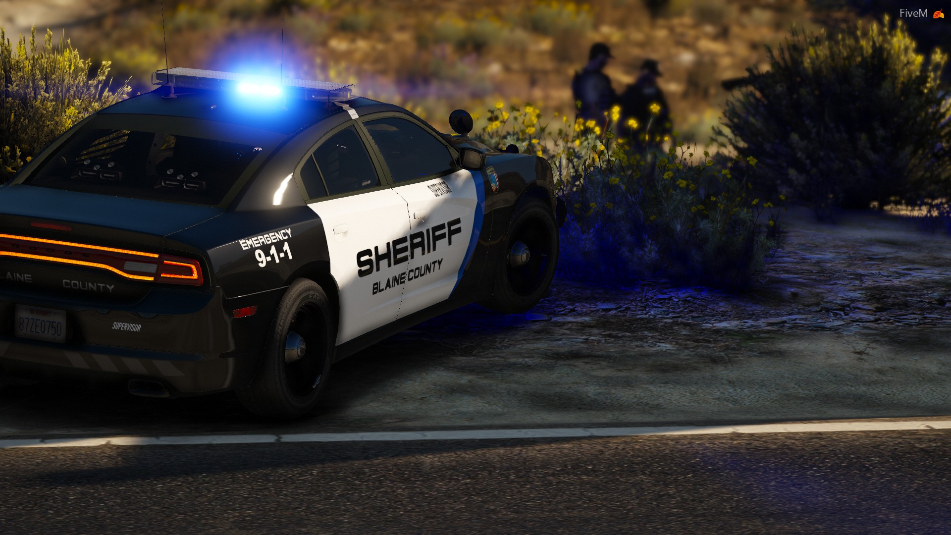 Statewide Roleplay | Whitelisted | Custom Assets | 15+ | Realism ...