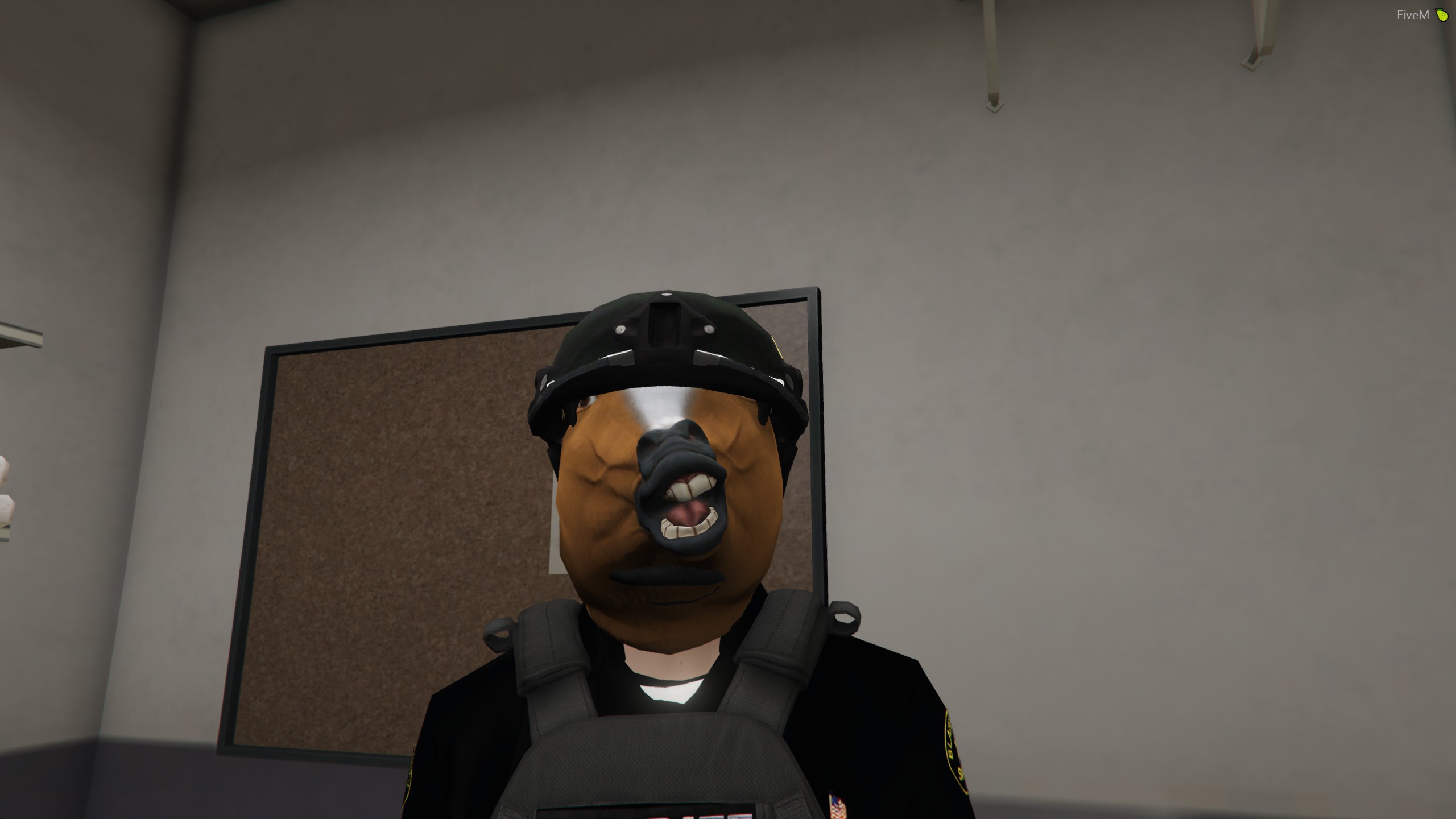 Envision Roleplay | SeriousRP | EUP | EMS | FIRE | LEO | CAD | Add-on ...