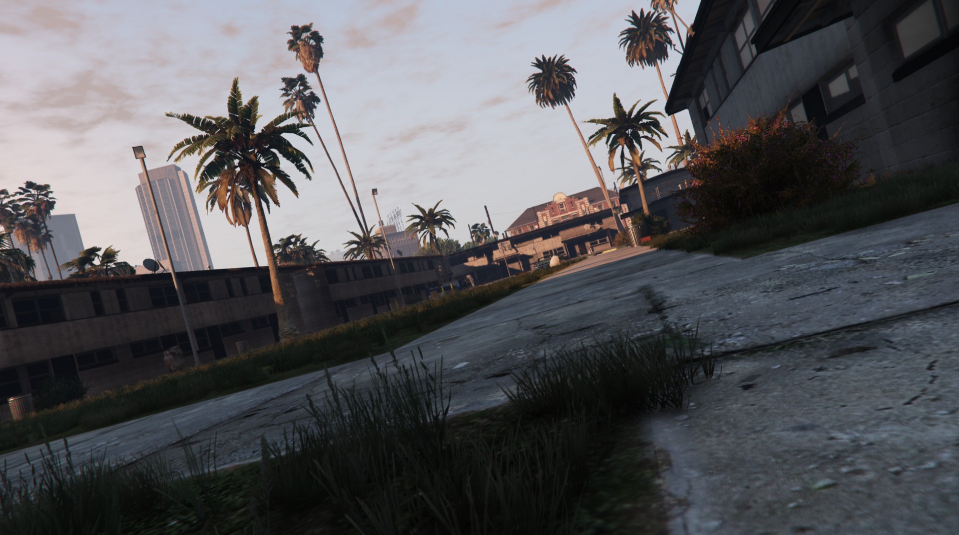 Davis - FiveM Snapmatic - Cfx.re Community