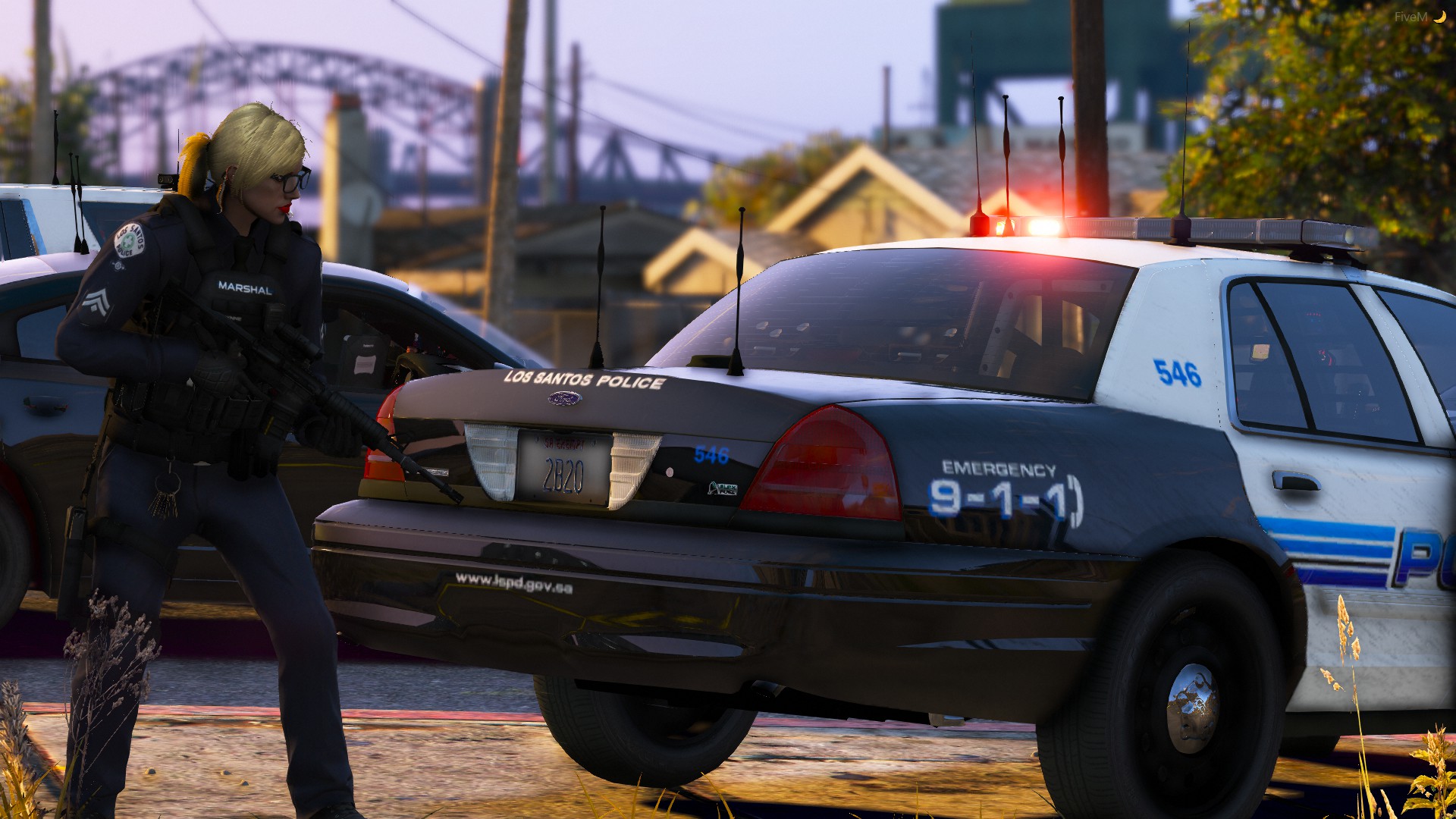 Statewide Roleplay | Whitelisted | Custom Assets | 15+ | Realism ...