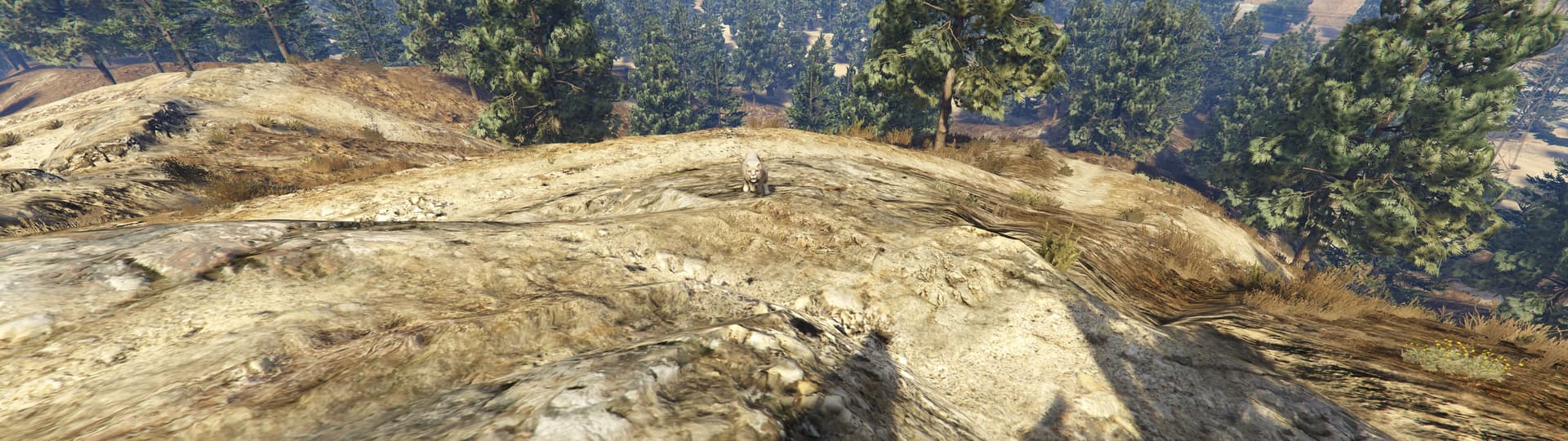 AMG Sandy ShoreTrees Mod - FiveM Releases - Cfx.re Community