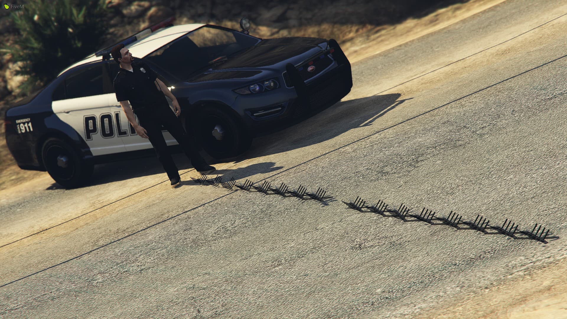 [PAID] Realistic Spike Script - FiveM Releases - Cfx.re Community