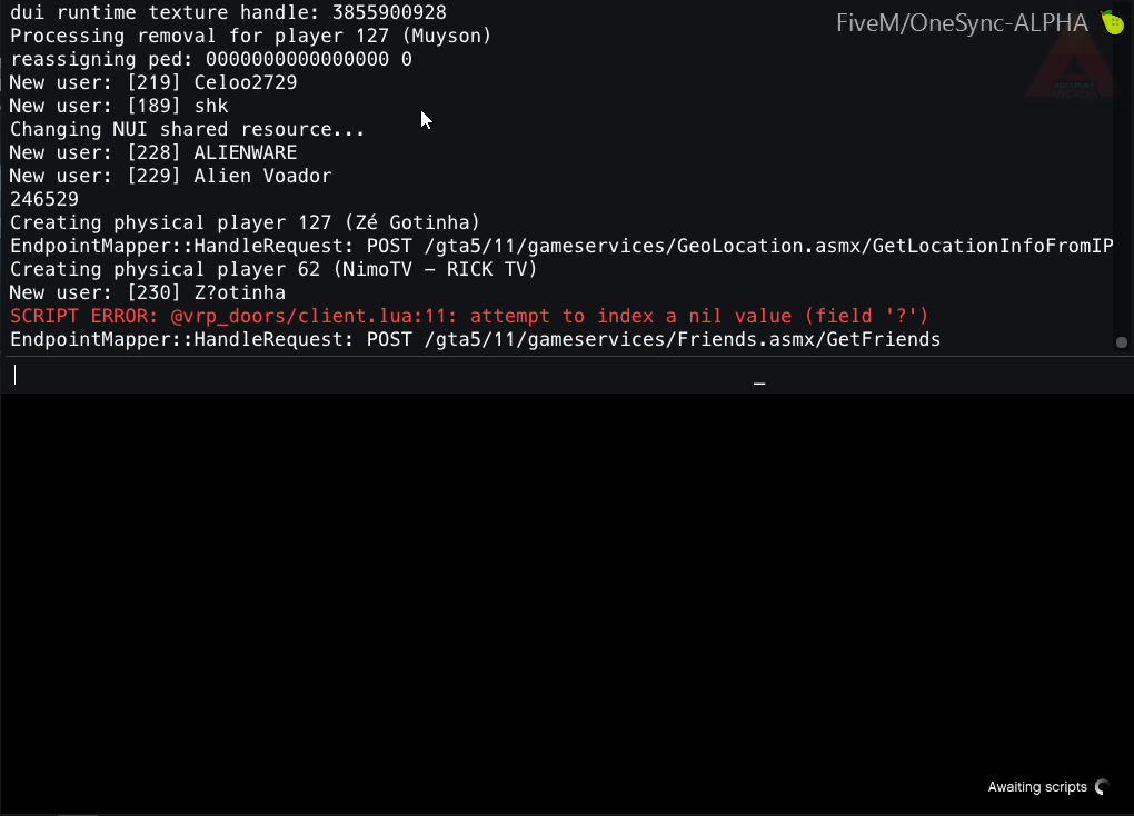 Do not enter the server, just on the screen waiting for scripts - FiveM ...