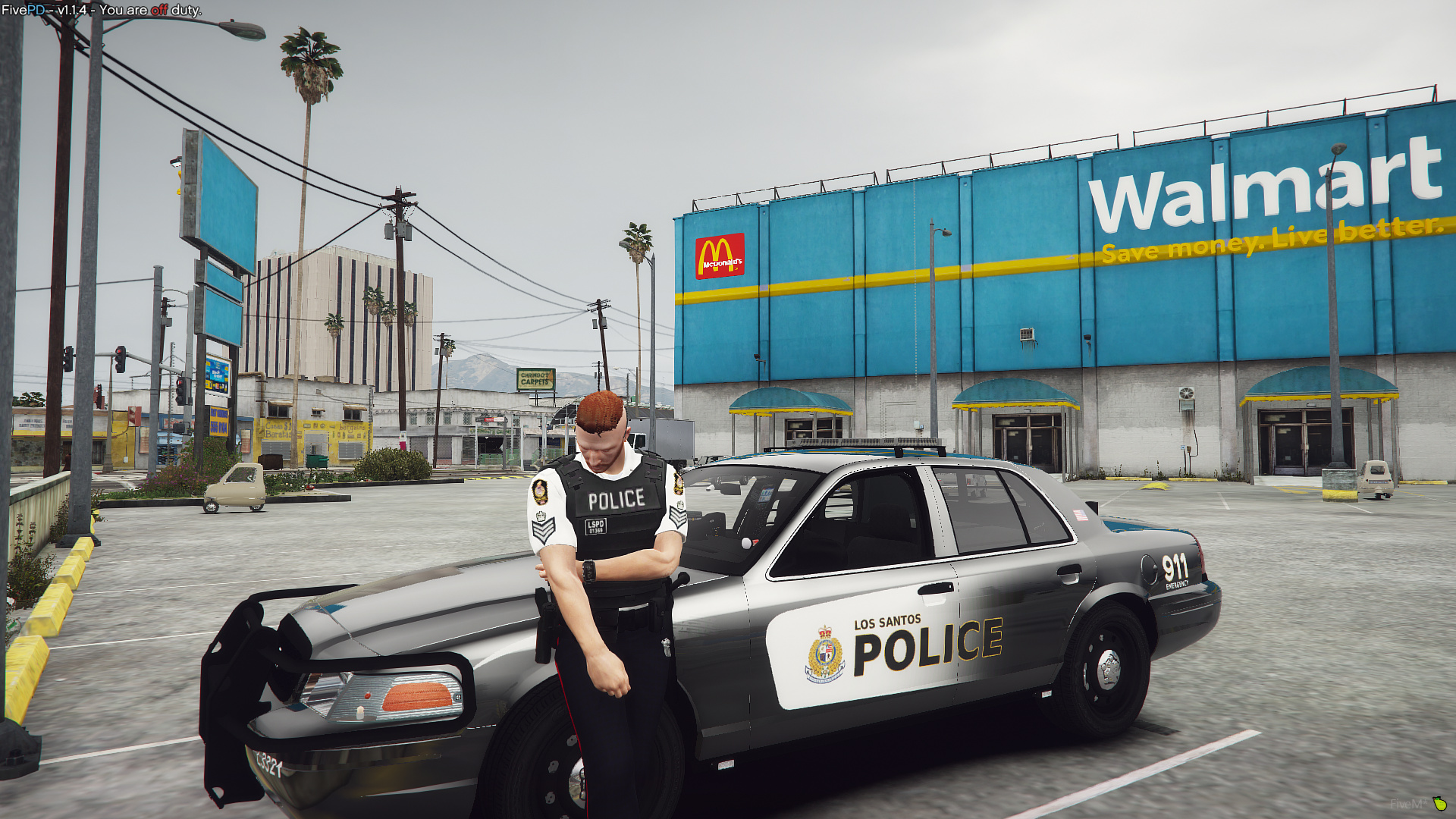 🌴 Good Vibes Roleplay | Under Development| Economy | PD/EMS | Custom ...