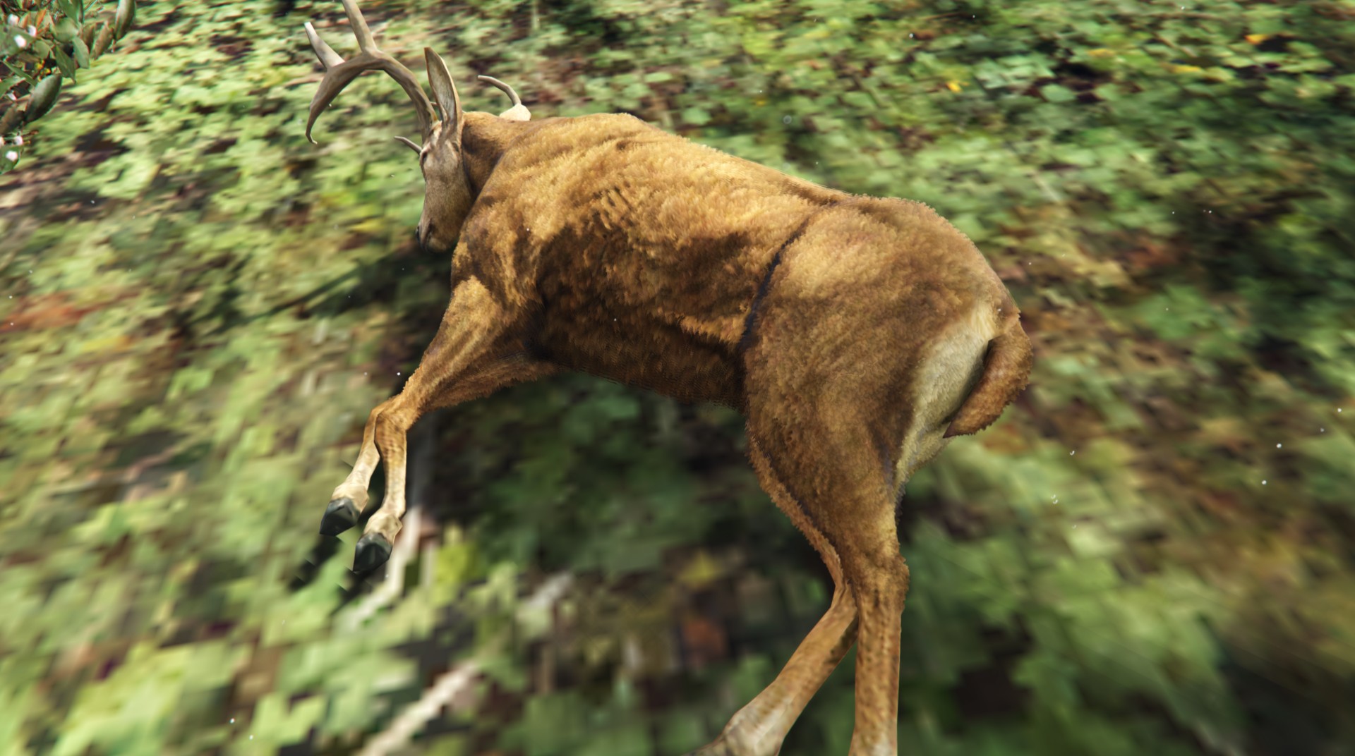 Paleto Forest - FiveM Snapmatic - Cfx.re Community