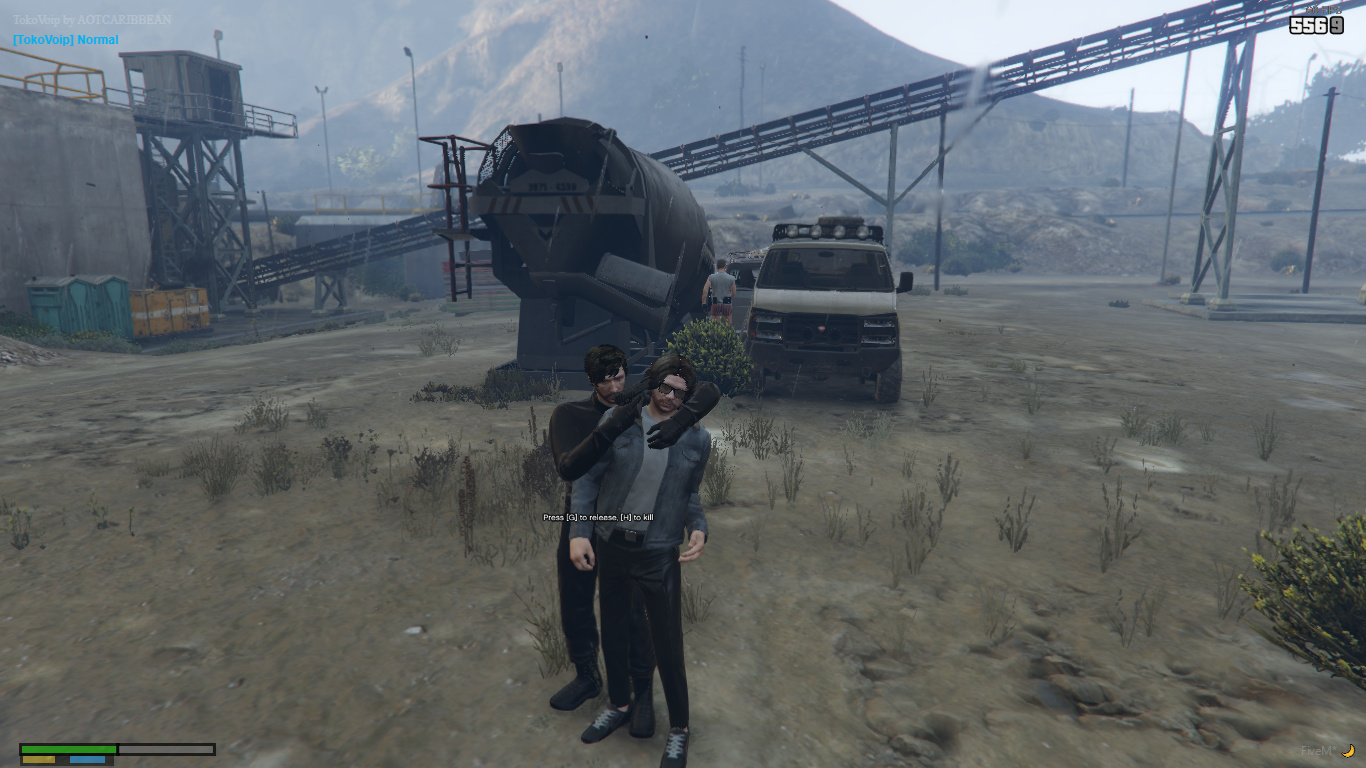 [Release] 4 Carrying Types - FiveM Releases - Cfx.re Community