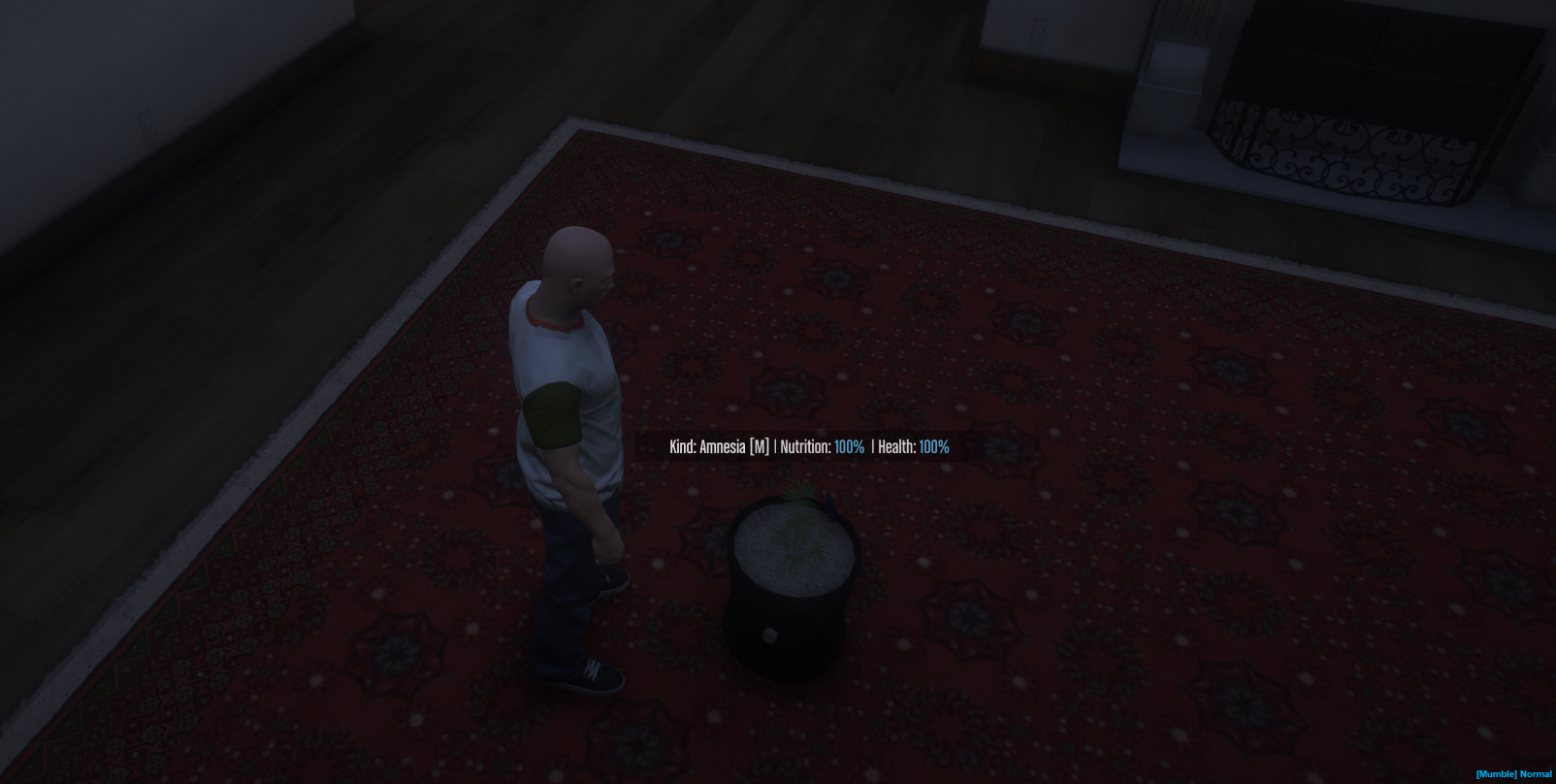 Story RP | Serious Life RolePlay | Custom Framework | Housing ...