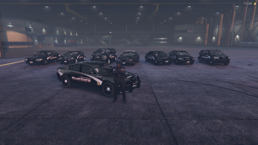 Los Santos Underground Roleplay - True RP - Public Police - Ingame CAD ...