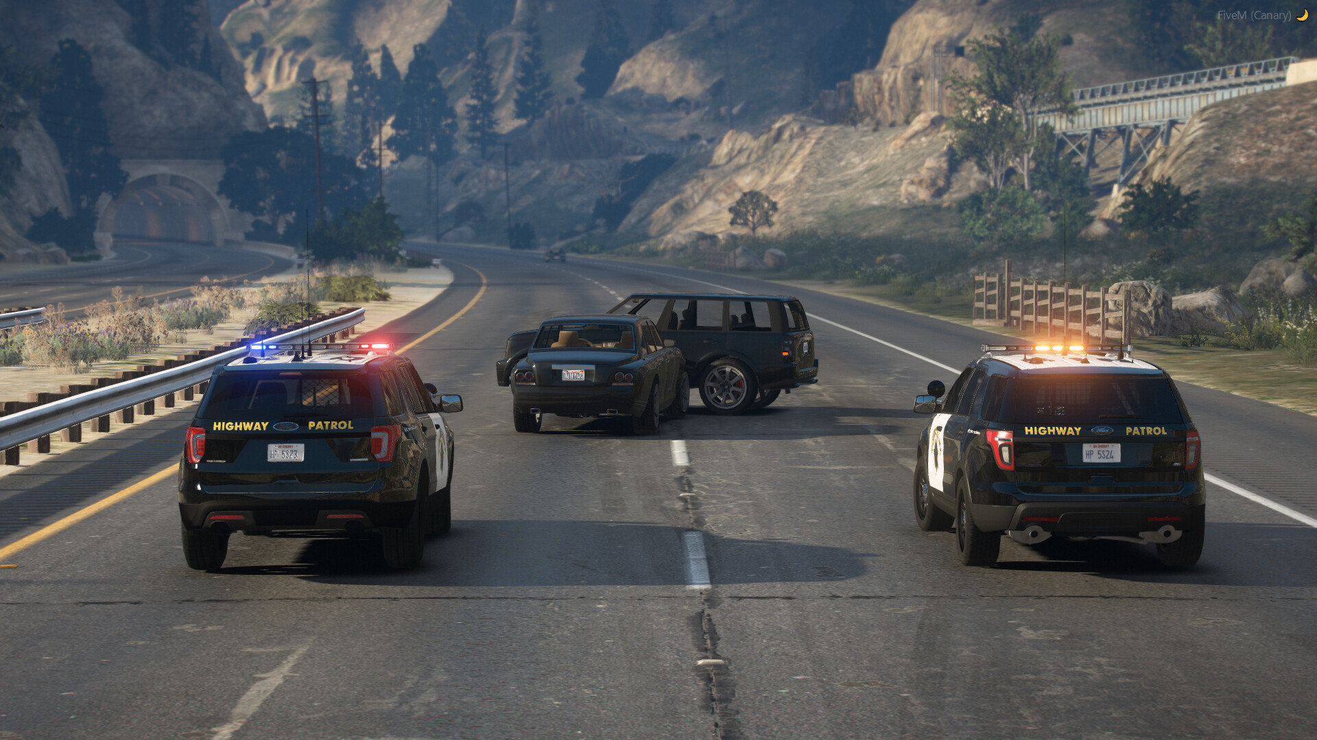 Statewide Roleplay | Whitelisted | Custom Assets | 15+ | Realism ...