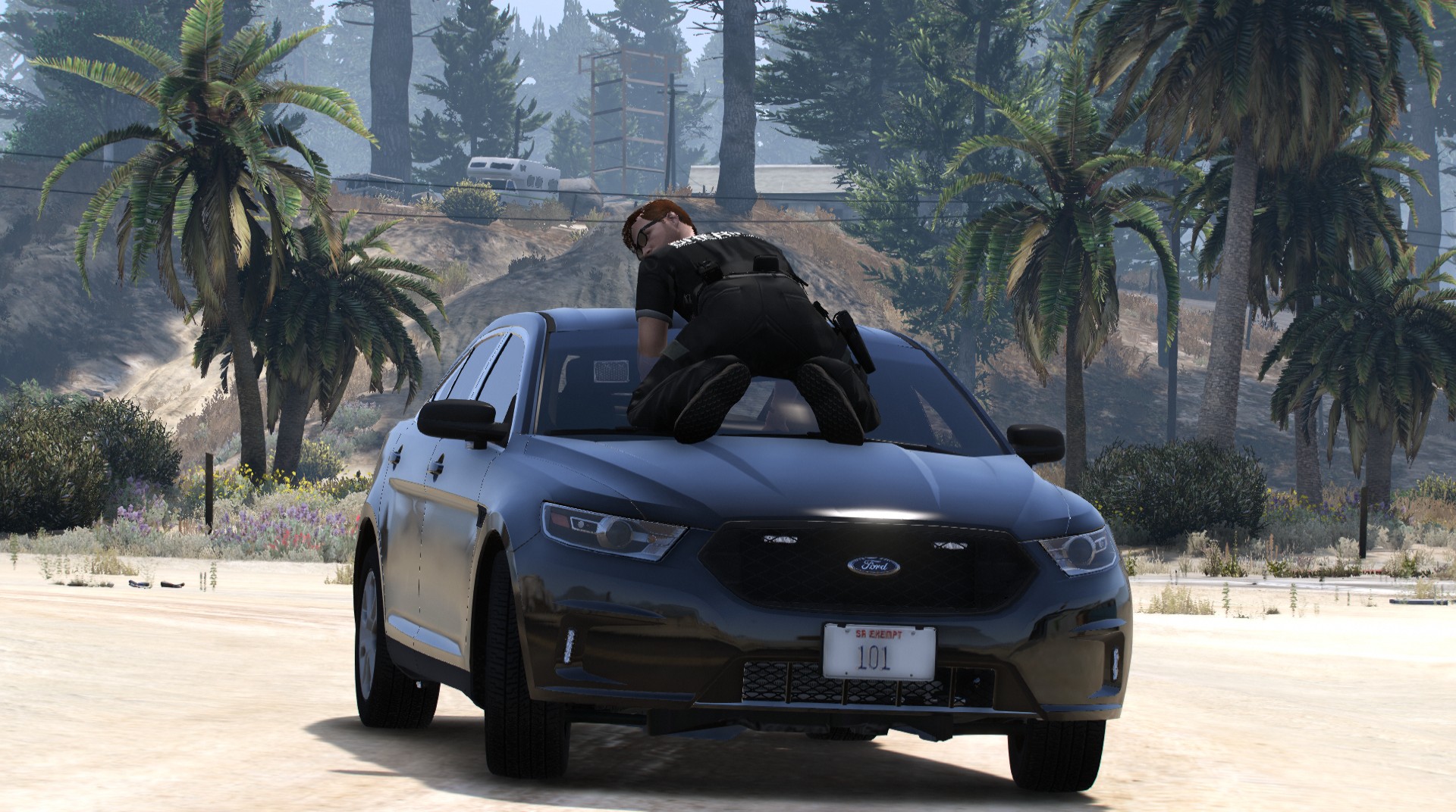 Panorama Dr - FiveM Snapmatic - Cfx.re Community