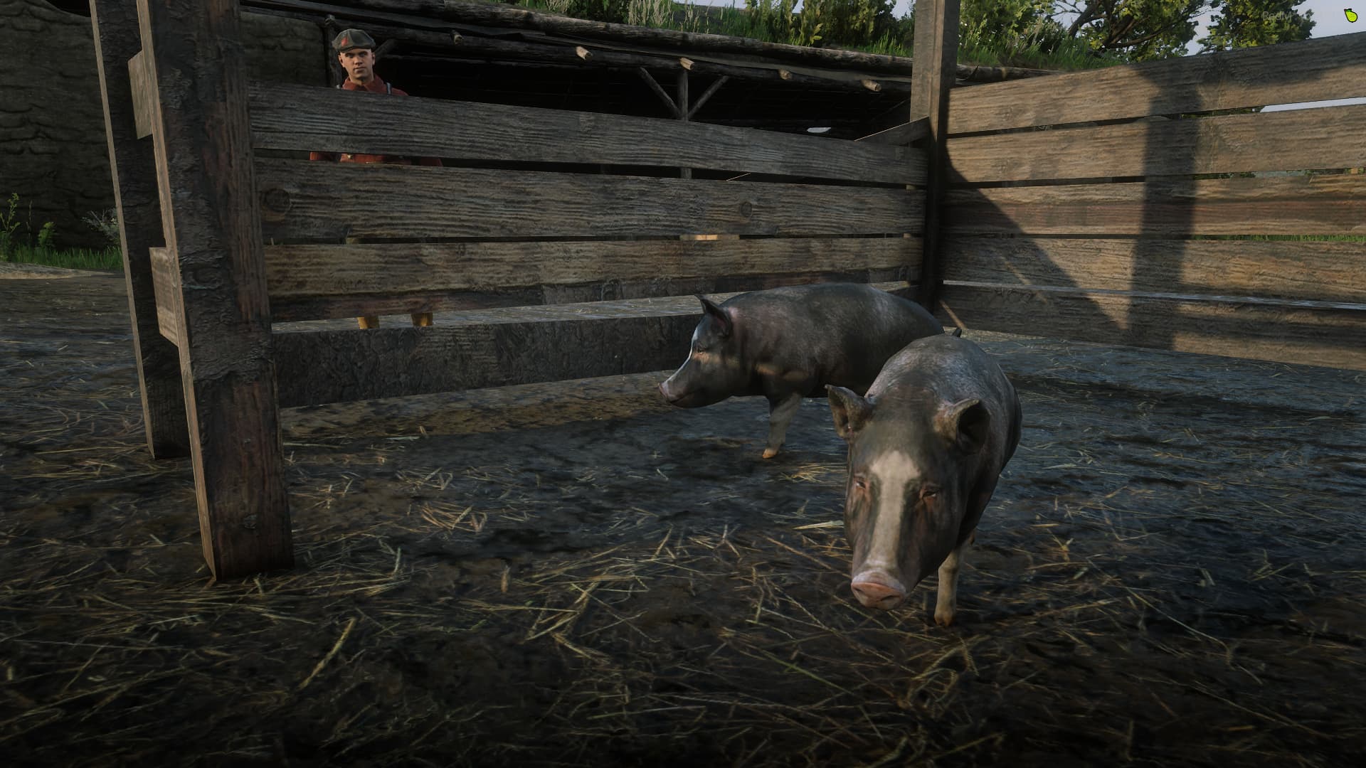 Farm Pack 02 | Pigpens || REDM PROPS - RedM Releases - Cfx.re Community