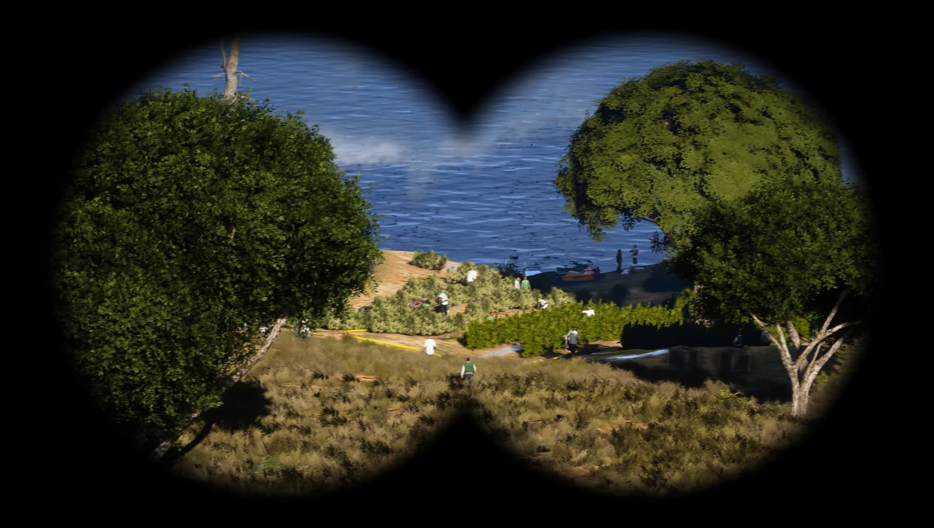 Island Weed Field - FiveM Releases - Cfx.re Community