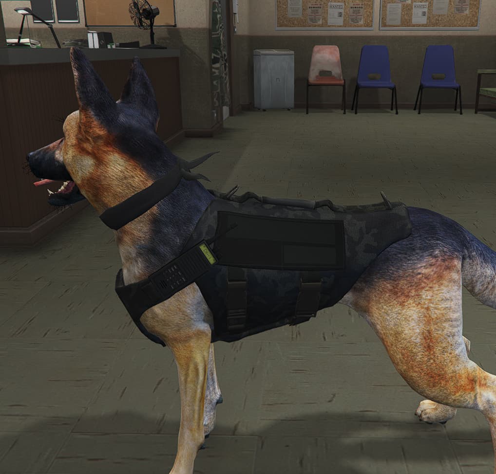 Some Pre-Release Images | K9 Dogs - FiveM Snapmatic - Cfx.re Community