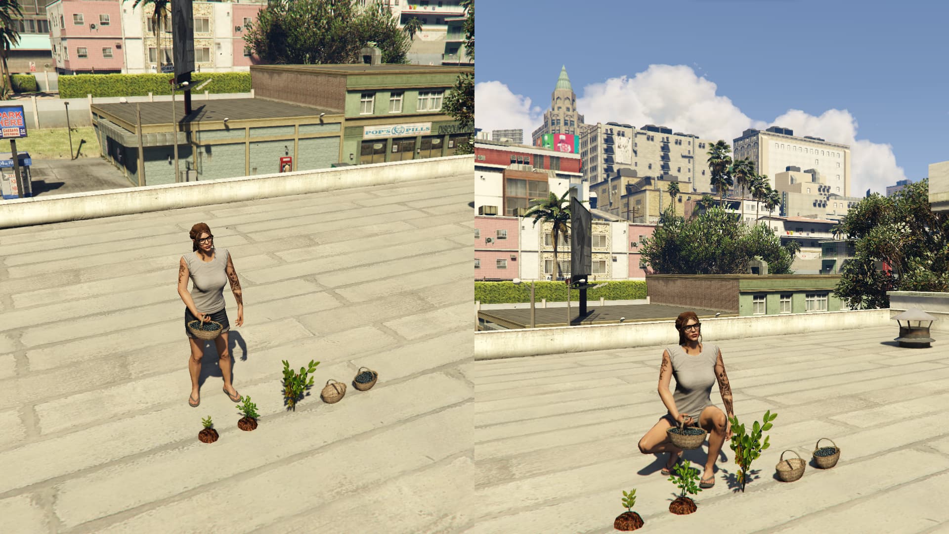 [ PROPS ] Blueberry plant - FiveM Releases - Cfx.re Community