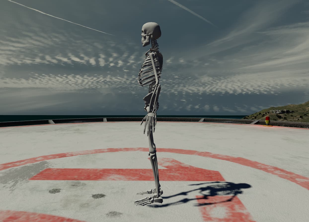 [PROPS] [PAID] Skeleton Prop - FiveM Releases - Cfx.re Community